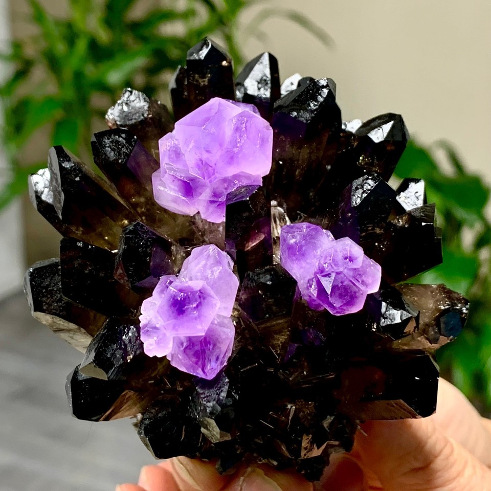 450G New Find black Phantom Quartz with amethyst Crystal Cluster ...