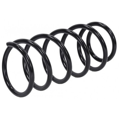 Vorderer Federung Feder Für Chevrolet Aveo/Kalos 96653237 | eBay