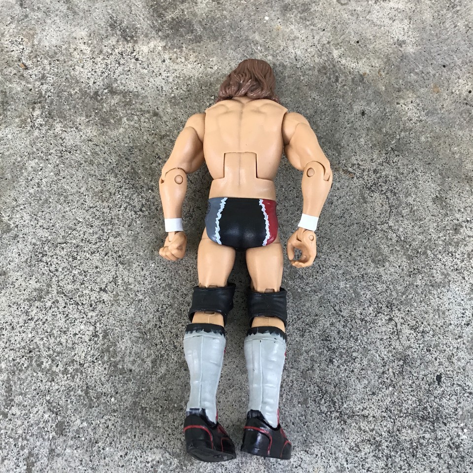 2012 WWE Daniel Bryan Wrestling Action Figure Mattel 7" WWF Danielson ...