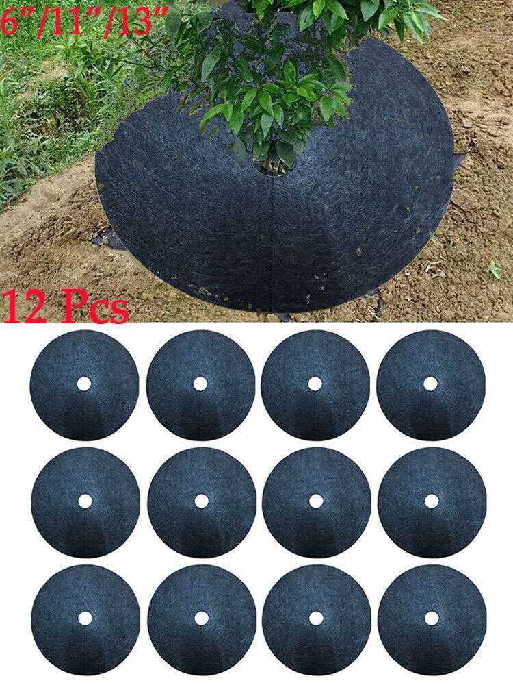 Rubber Mulch Tree Rings