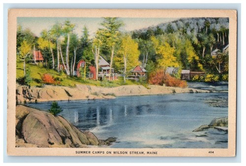c1910's View Of Summer Camps On Wilson Stream Maine ME Unposted Antique ...