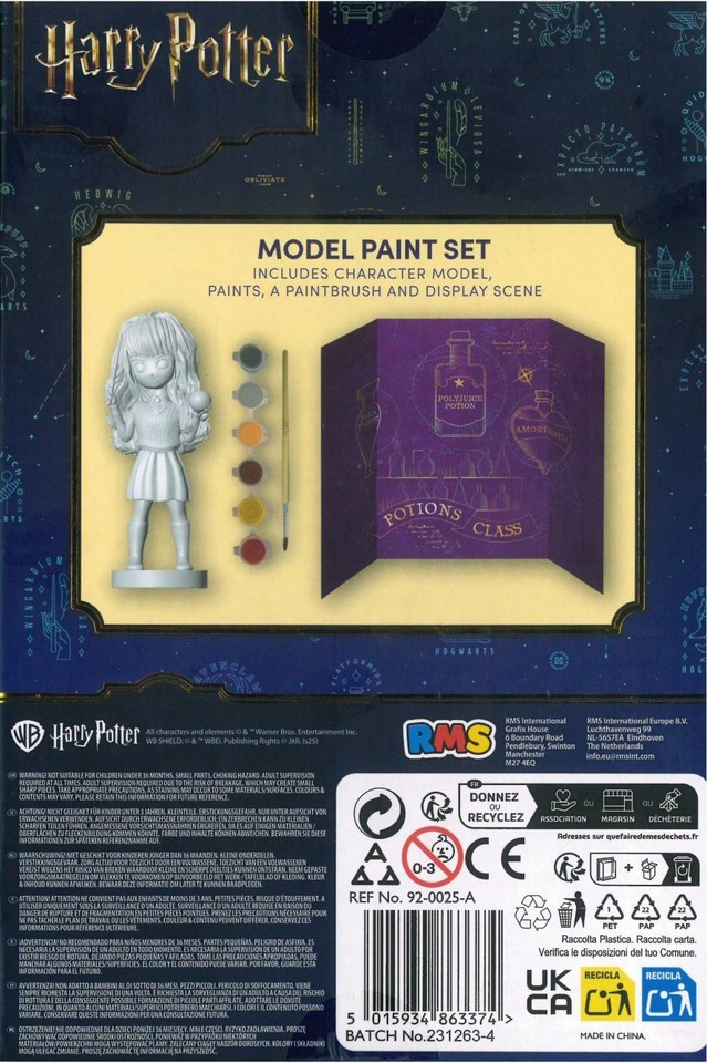 Paint Your Own Harry Potter Hermione Dobby Models Paint Set With Brush ...