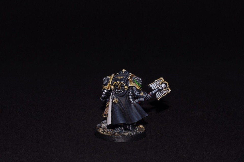 Terminator Chaplain Tarentus Dark Angels Pro Painted warhammer 40k | eBay