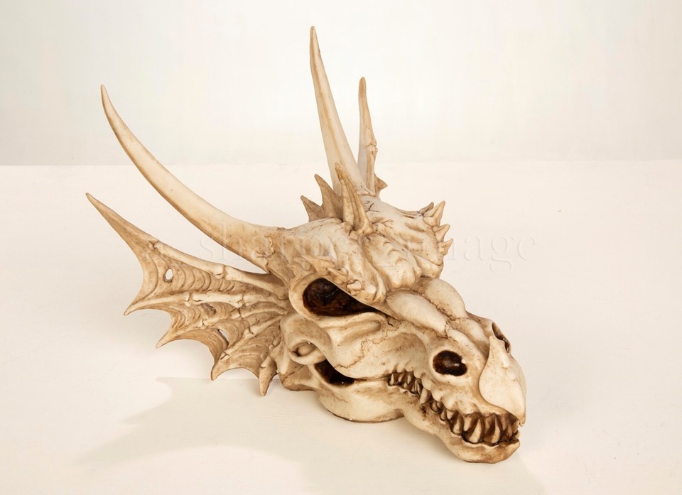 Dragon Skull LARGE 20" Statue Figurine 'Bone' Finish Fantasy Superb ...