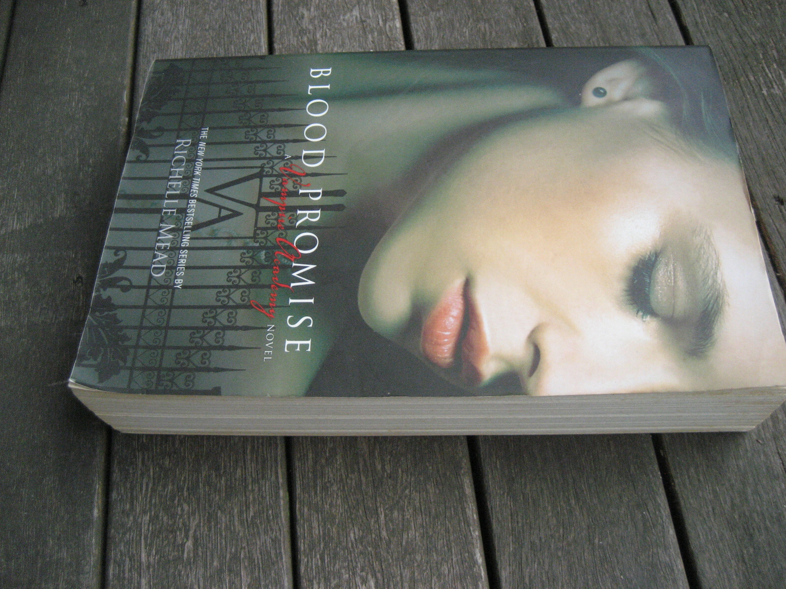 GREAT BOOK -BLOOD PROMISE BY RICHARD MEAD - VAMPIRE ACADEMY NOVEL ...