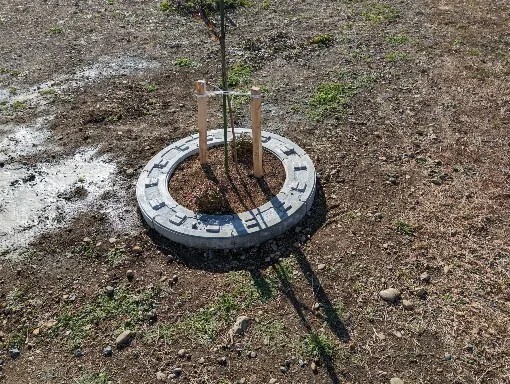 Round Concrete Block Bricks Plastic Mold Set Ground Circle Module DIY ...