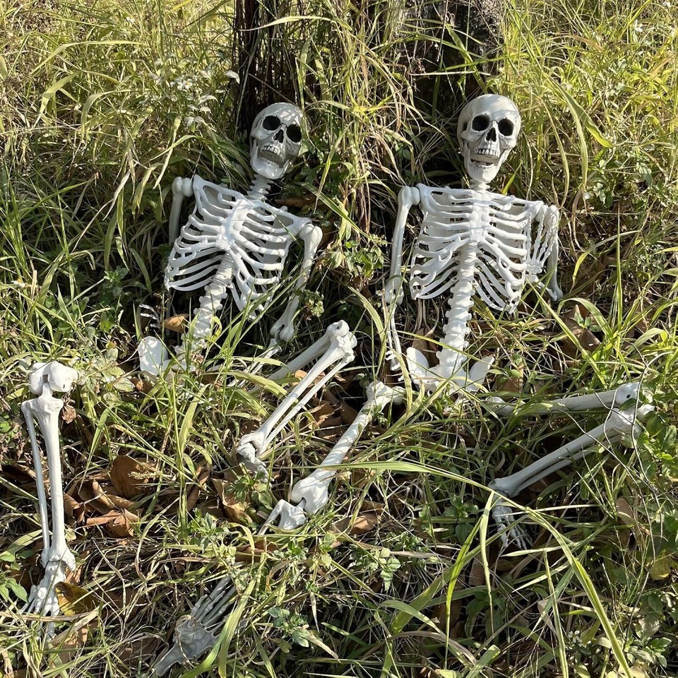 5.4ft Skeletons Life Size Full Body Bones with Movable Joints Halloween ...