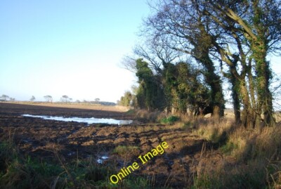 Photo 6x4 Hedge by the Paston Way Frogshall c2013 | eBay UK