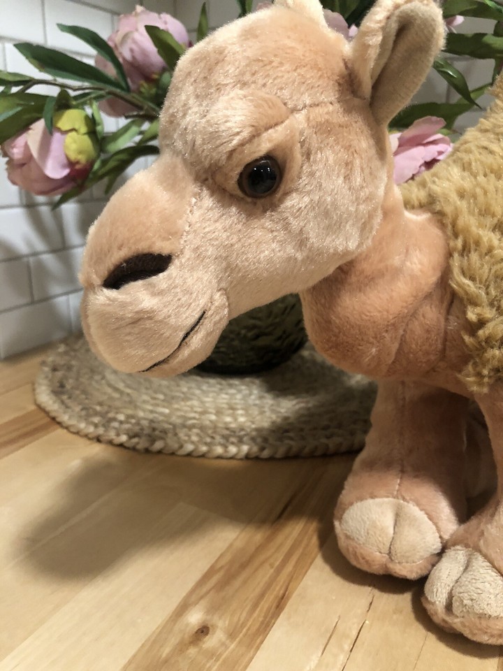 Dromedary Camel Plush By Wild Republic Ebay