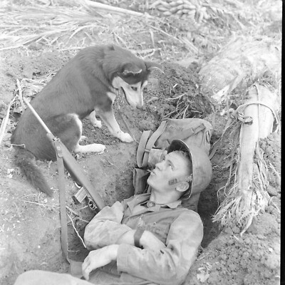 WW2 WWII Photo World War Two / US Marine & War Dog Guam 1944 USMC | eBay