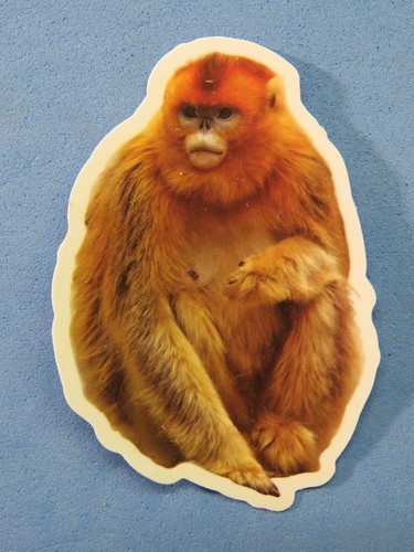 Cool Animal STICKER ~ Golden Snub-Nose Monkey ** 100s More Stickers in ...