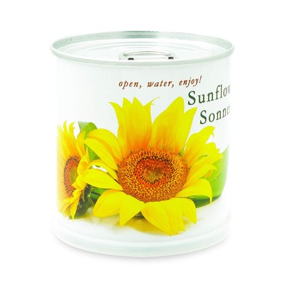 MacFlowers - Fiore di girasole, in barattolo | eBay