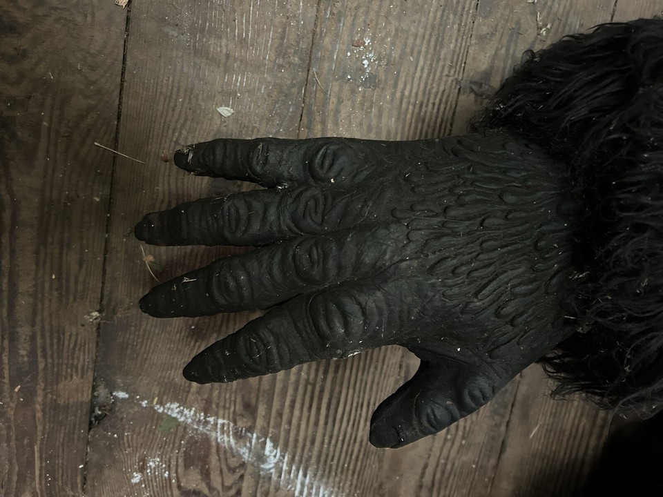 Lifesize Bigfoot replica "PATTERSON FILM IN 1967 "standing 9 feet tall ...