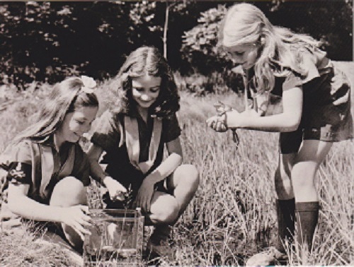 *Postcard-"Young Children Collecting Frogs" -1940's- (XT53) | eBay