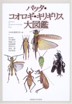 Grasshopper, Cricket, & Grasshopper Picture Book from Japan | eBay
