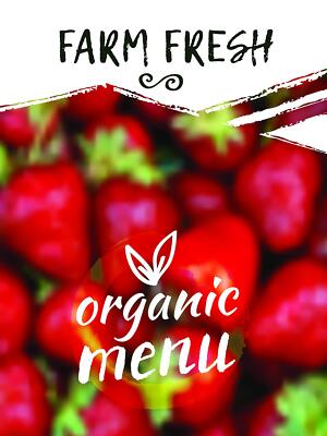Farm Fresh Organic Menu | Retail Window Display Sign | 18"W x 24"H | eBay