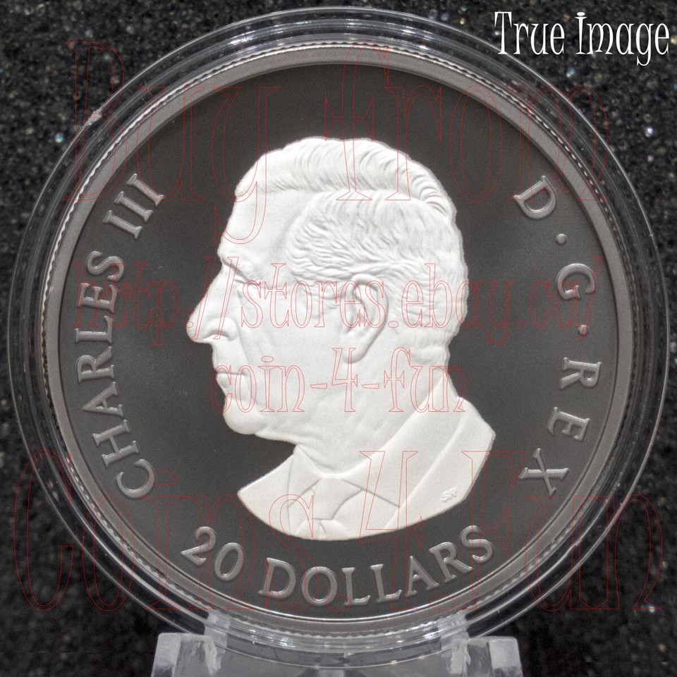 2025 Elegant Maple Leaf #1 - $20 Pure Silver Proof Rhodium-Plated Coin ...
