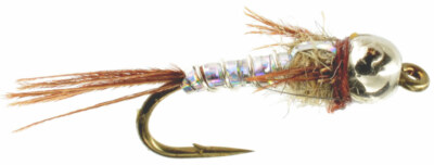 Flies - Lightning Bug