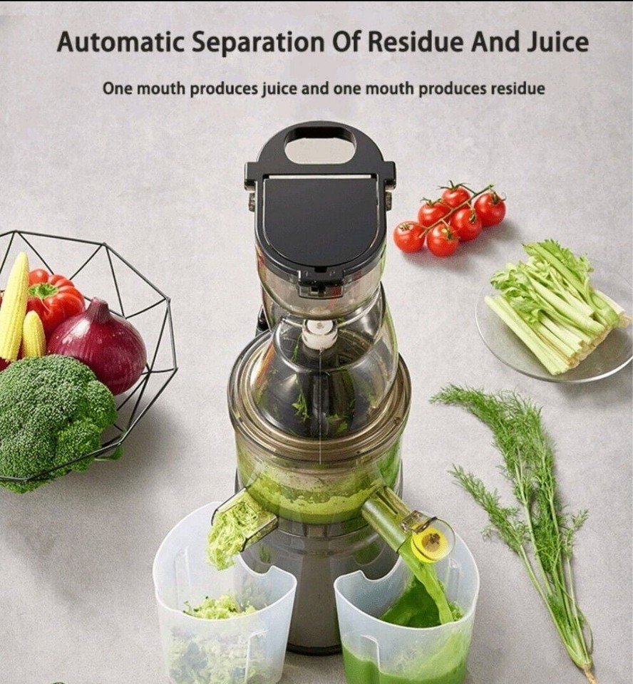 300W Electric Juicer Extractor Machine Slow Masticating Fruit ...