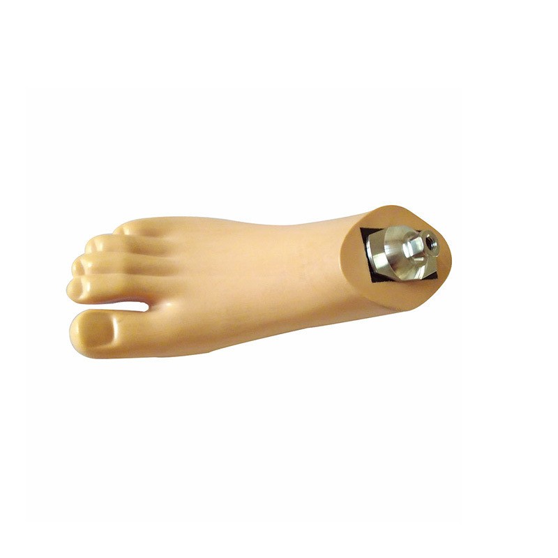 Dynamic foot of orthopedic prosthetic foot implant leg component size ...