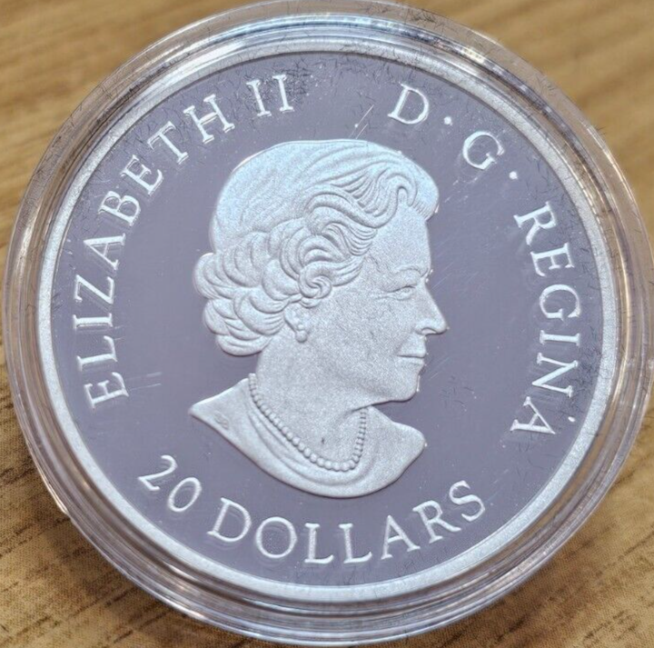 2022 Elizabeth II Platinum Jubilee Celebration Silver 2 Coin Set Canada ...
