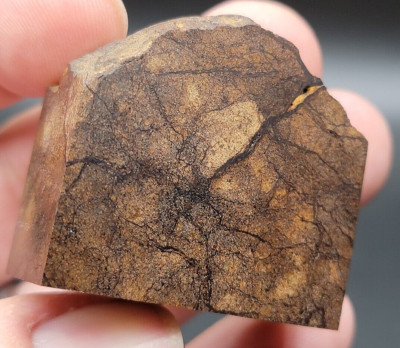 AL HAGGOUNIA 001 (81.3g) EL-melt rock, Angled/Cubic Cut Meteorite, IMCA ...