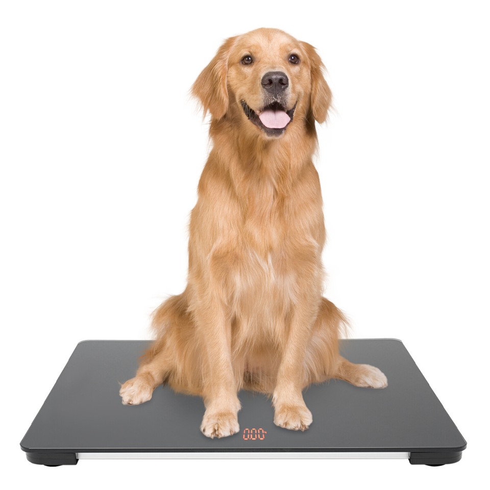 Pet Store Hospital Scale Large Dog Weighing Scale 100KG LCD Scale High ...