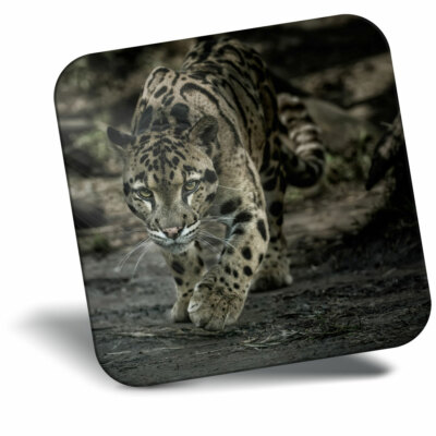 Awesome Fridge Magnet - Clouded Leopard Wild Cat Cool Gift #3200 | eBay