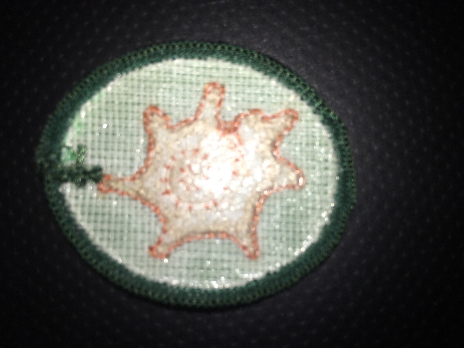 Girl Scout Troop Crest Patch Badge Retired 2011 Seashell Insignia New ...