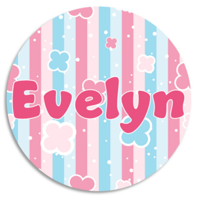 Evelyn - 3 Pack Circle Stickers 3 Inch - Name Tag Water Bottle School ...
