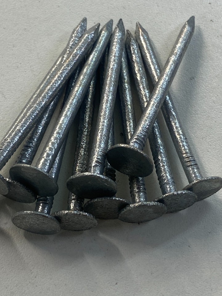 Clout Felt Plasterboard Nails Galvanise Large All Sizes 13mm - 75mm 1/2 ...