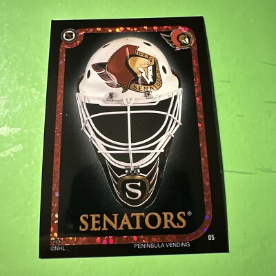 95 96 Peninsula Ottawa Senators Goalie Mask Sticker #05 NHL Hockey!! | eBay