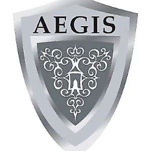 The Aegis Company | eBay Stores