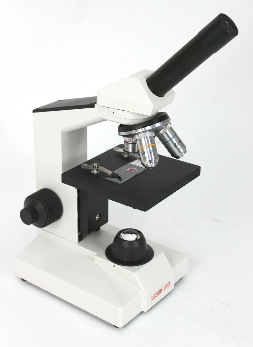 Compound Light Microscope Magnification Range | Shelly Lighting