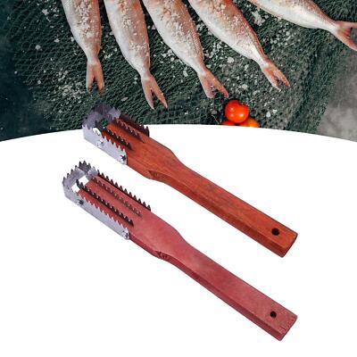 Fish Scales Remover Sturdy Fish Scales Cleaning Brush for Home Kitchen ...
