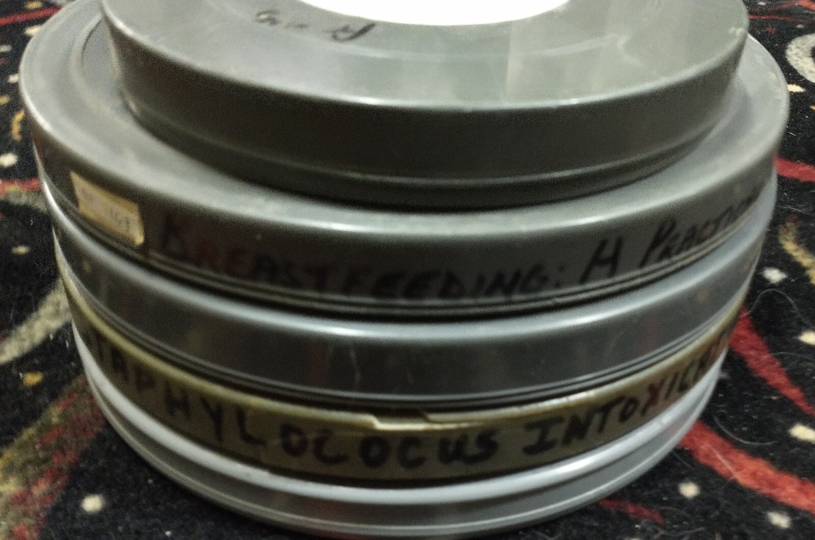 LOT of 5 16mm Film Collection 1960's -1970's Educational Social Prints ...