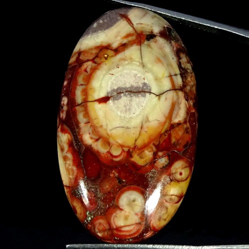 Natural Bird Eye Jasper Gemstone 43.10 Cts Oval Ethical Cabochon ...