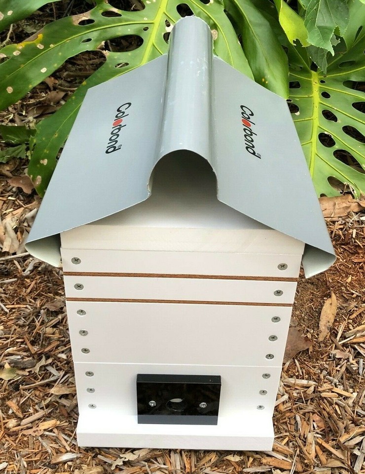 Stingless Native Bee Hive Honey Frame Design With Roof | Composite OATH ...