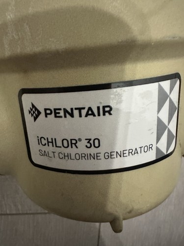 Pentair iChlor 30 Replacement Salt Chlorine Generator Cell | eBay