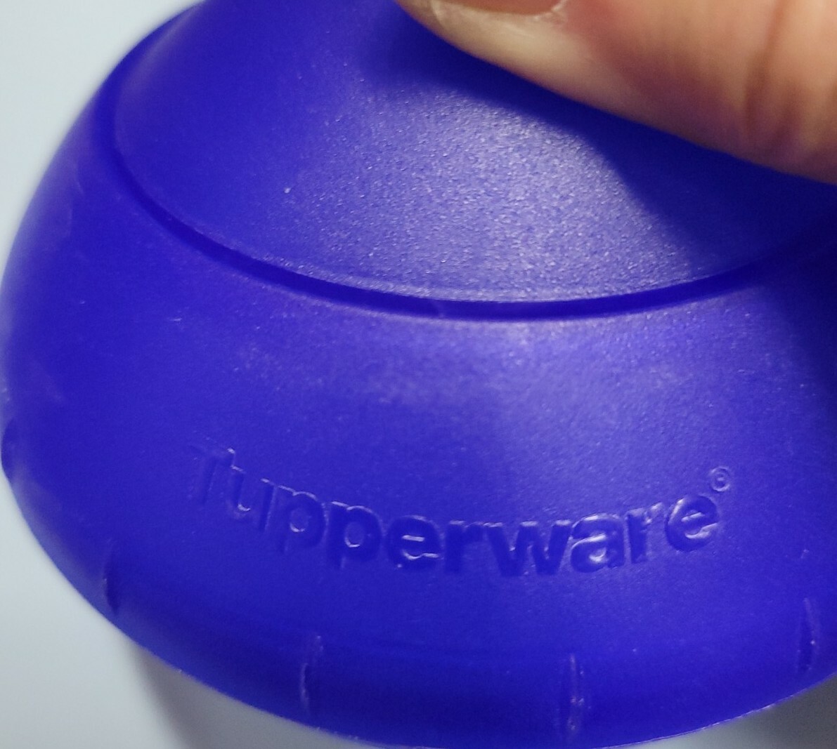 Tupperware Gourmet Icing cake Squeeze it Decorator with Extra Tips Pre ...