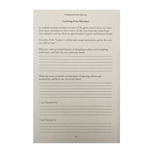 Swinging for the Heavens Softball Hitting Journal & Devotional | eBay