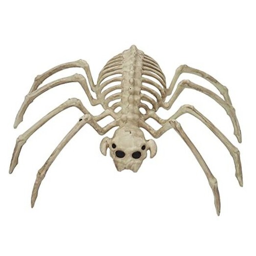 Halloween Spider Decorations Animal Skeleton Realistic Plastic Spider ...