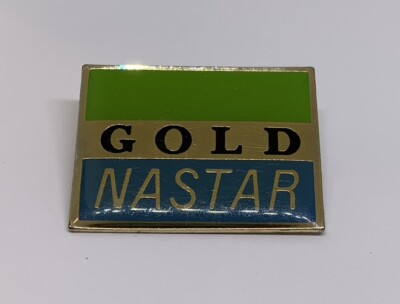 Blank No Name NASTAR Alpine Ski Skiing Racing Gold Award Badge Pin (219 ...