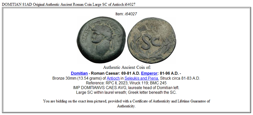 DOMITIAN 81AD Original Authentic Ancient Roman Coin Large SC of Antioch ...