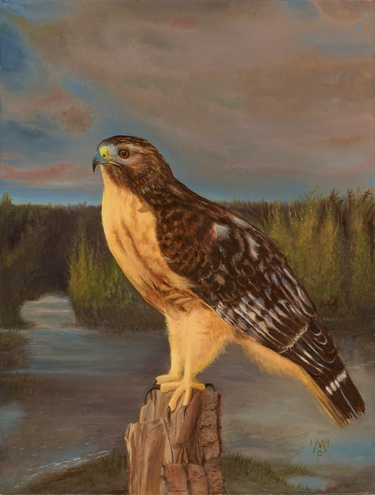 Hawk Oil Painting