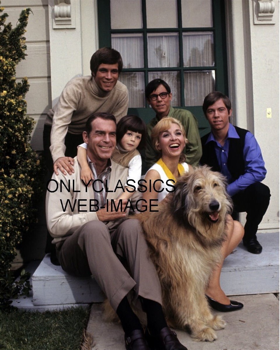 My Three Sons Cast Old TV Show Hall Of Fame My Three Sons Was A