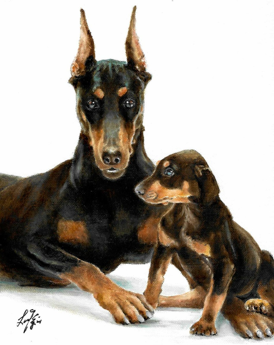 Dobermann Kunst Doberman Art Print By Aged Pixel Fine Art America