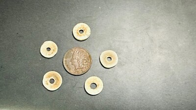 Fine Pre Historic Native American Indian , Shell Beads; Fox Field | eBay