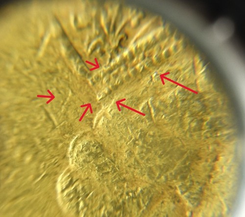 New Zealand Two Dollars Coin Error 1990 Security Groove, Cross Above ...