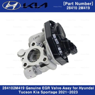 284102M419 Genuine EGR Valve Assy for Hyundai Tucson Kia Sportage 2021 ...